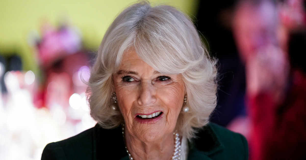 Cómo será el futuro de Camilla si sobrevive al Rey Carlos III: el ...