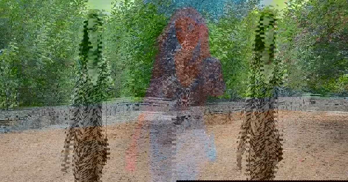 Livia bokep you get the picture. My email address is a