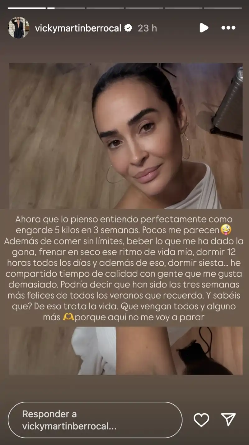 Vicky Martín Berrocal (52 años) lanza una importante reflexión en el ...