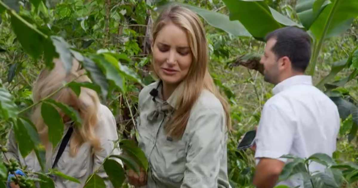 'Hasta el fin del mundo' llega a Colombia en su tercera etapa: los ...